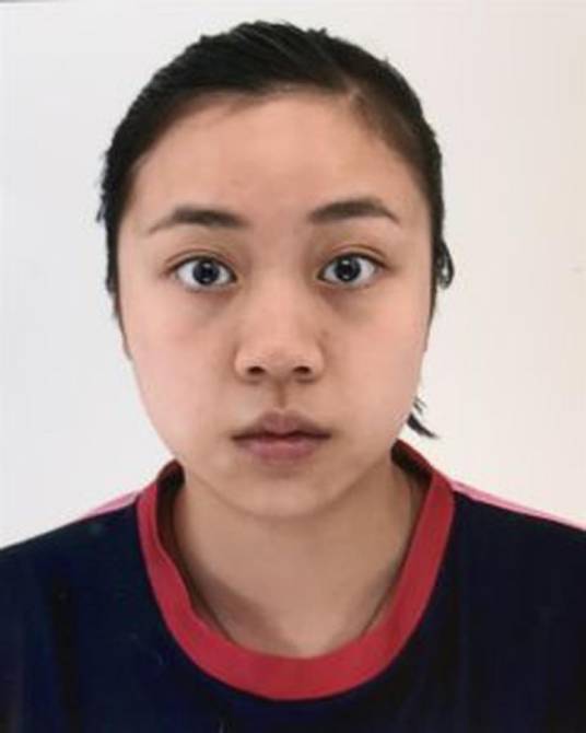 HO Tin-Tin_百度百科