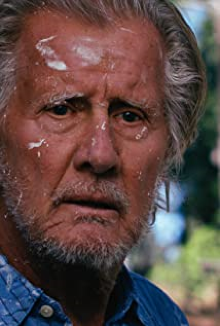 Forrest Fyre_百度百科