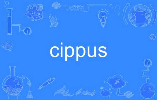 cippus_百度百科
