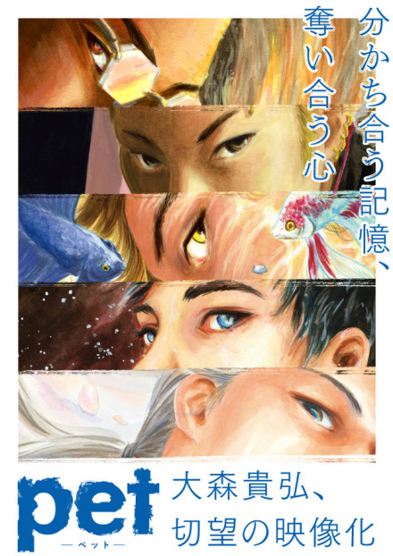 pet（GENO STUDIO改编电视动画）_百度百科