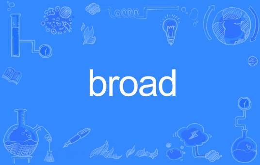 broad_百度百科