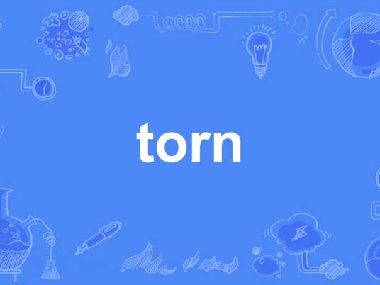 torn（英语单词）_百度百科