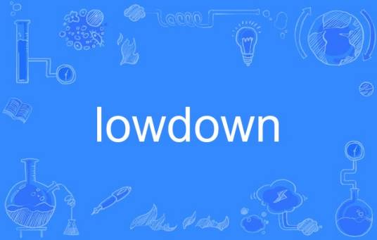 lowdown_百度百科