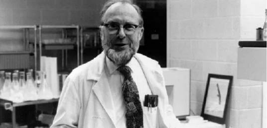 James Neel_百度百科