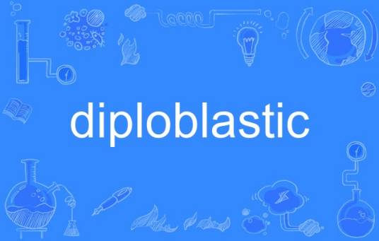 diploblastic_百度百科