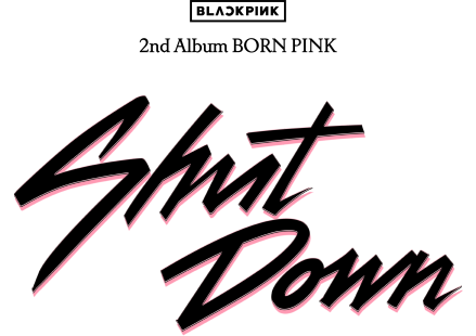 BORN PINK_百度百科