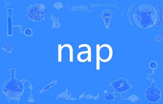 NAP（英语单词）_百度百科