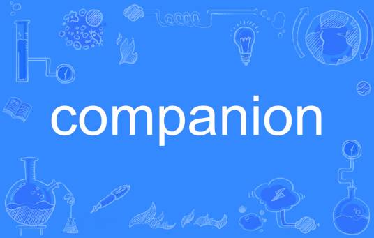 Companion（英语单词）_百度百科