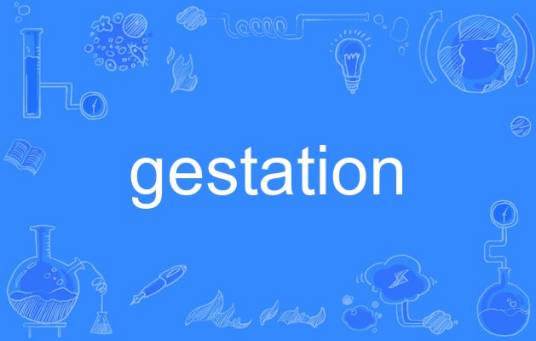 Gestation_百度百科