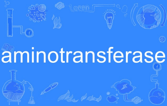 aminotransferase_百度百科