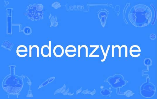 endoenzyme_百度百科