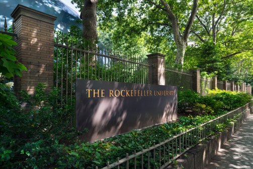 洛克菲勒大学_百度百科