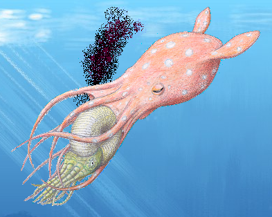 Proteroctopus_百度百科