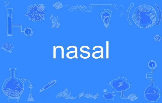 nasal_百度百科