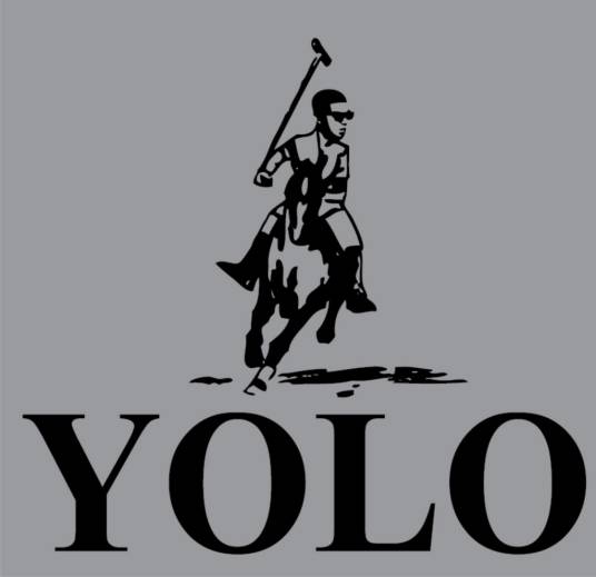 yolo（流行词汇）_百度百科