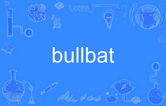 bullbat（英语单词）_百度百科