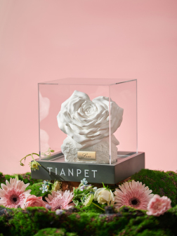 TIANPET_百度百科