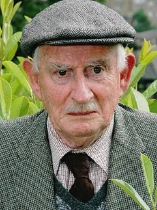 Robert Fyfe（演员）_百度百科