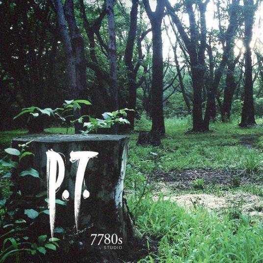 P.T._百度百科
