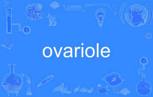 ovariole_百度百科