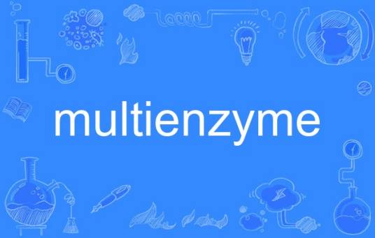multienzyme_百度百科