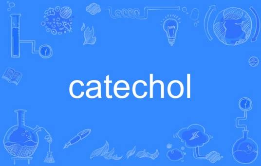 catechol_百度百科