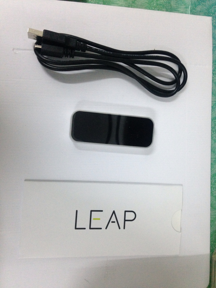 leap motion_百度百科