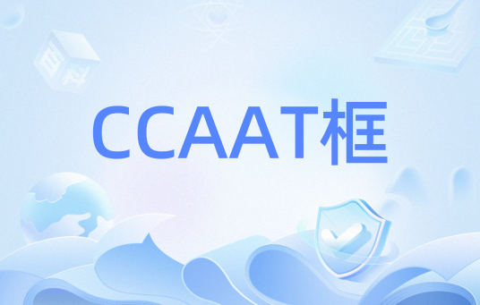 CCAAT框_百度百科