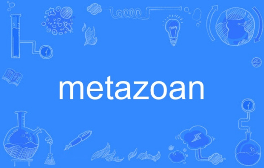 metazoan_百度百科