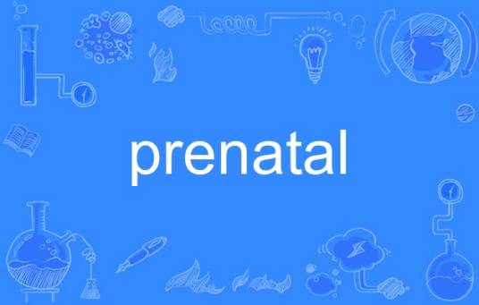 prenatal_百度百科