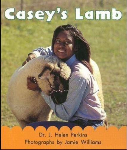 Casey's Lamb_百度百科