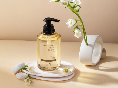 HONI EXPERIENCE_百度百科