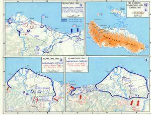 瓜岛：数万日军孤魂留荒野_百科TA说