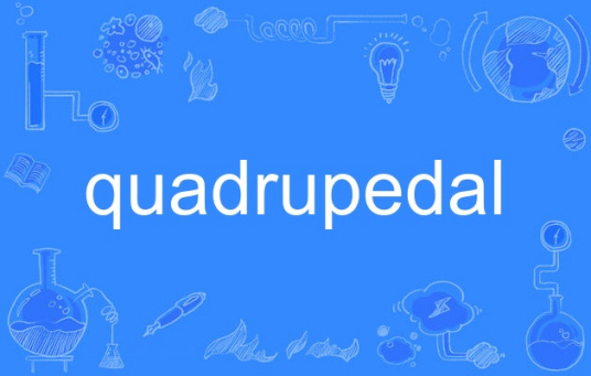quadrupedal_百度百科