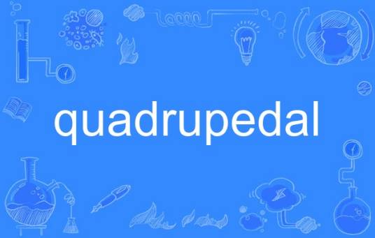 quadrupedal_百度百科