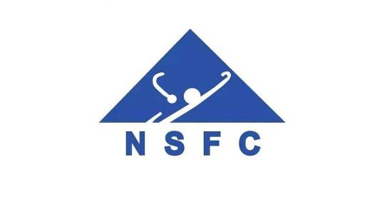 Calcineurin-NFAT信号通路介导Angptl4在CaN抑制剂治疗MCD中的作用机制研究_百度百科