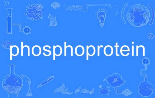 phosphoprotein_百度百科