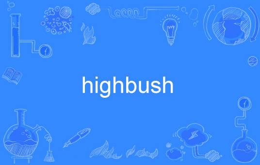 highbush_百度百科