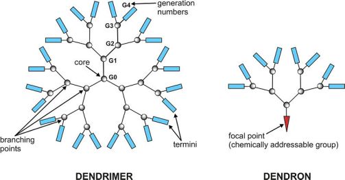 树枝状大分子_百度百科