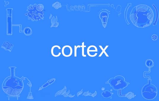 cortex（英语单词）_百度百科