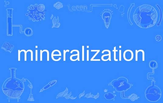 mineralization_百度百科