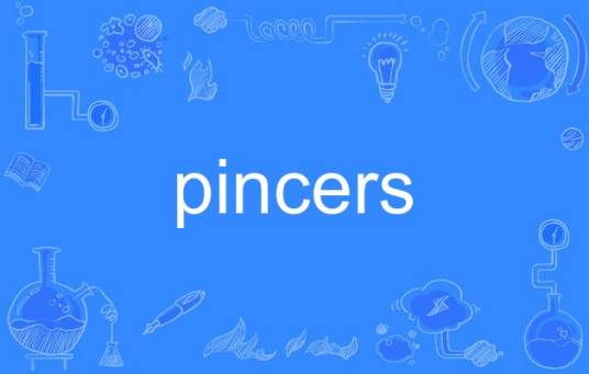 pincers_百度百科