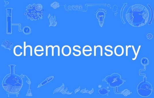 chemosensory_百度百科