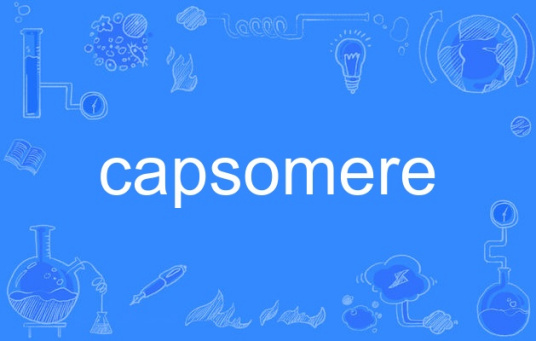capsomere_百度百科