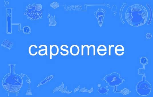 capsomere_百度百科