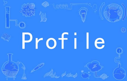 Profile（英文词汇）_百度百科