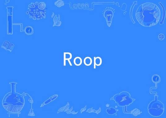 Roop_百度百科