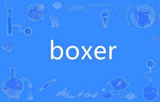 Boxer（英语单词）_百度百科