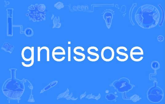 gneissose_百度百科