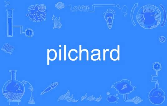 pilchard_百度百科
